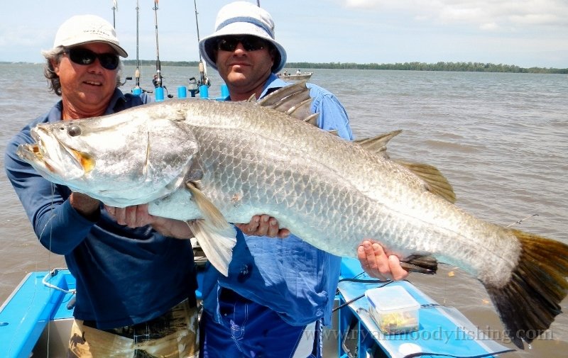 Barramundi 1