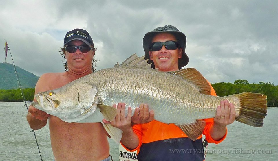 Barramundi 1