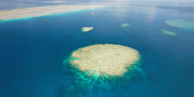 Ribbon Reefs - Great Barrier Reef - Ryan Moody Fishing