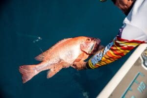 Reviews | Ryan Moody Fishing Online Courses