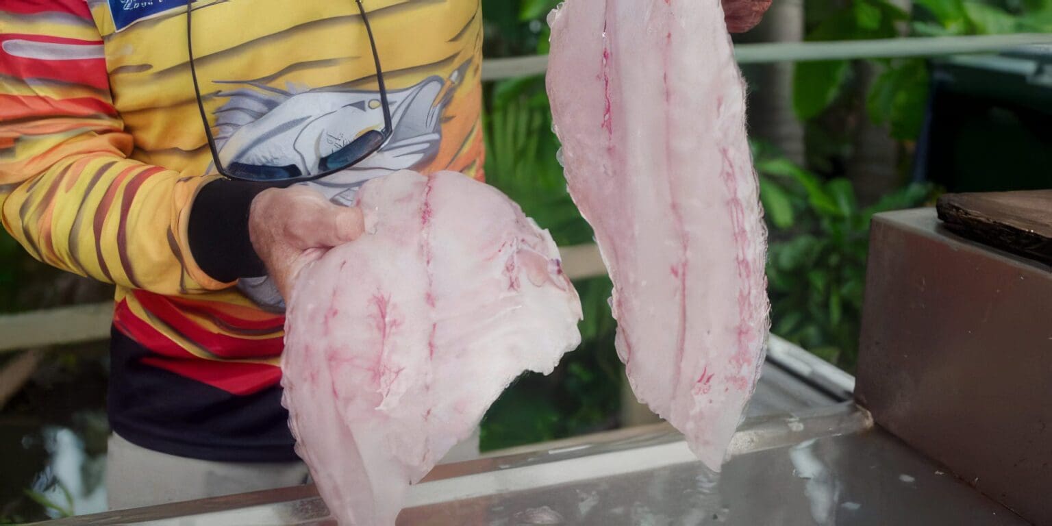 Jewfish Recipe - with tuna sashimi catch and cook - Ryan Moody Fishing