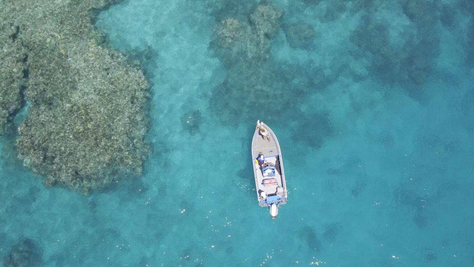 Finding Wonky Holes in under 20 metres - Ryan Moody Fishing