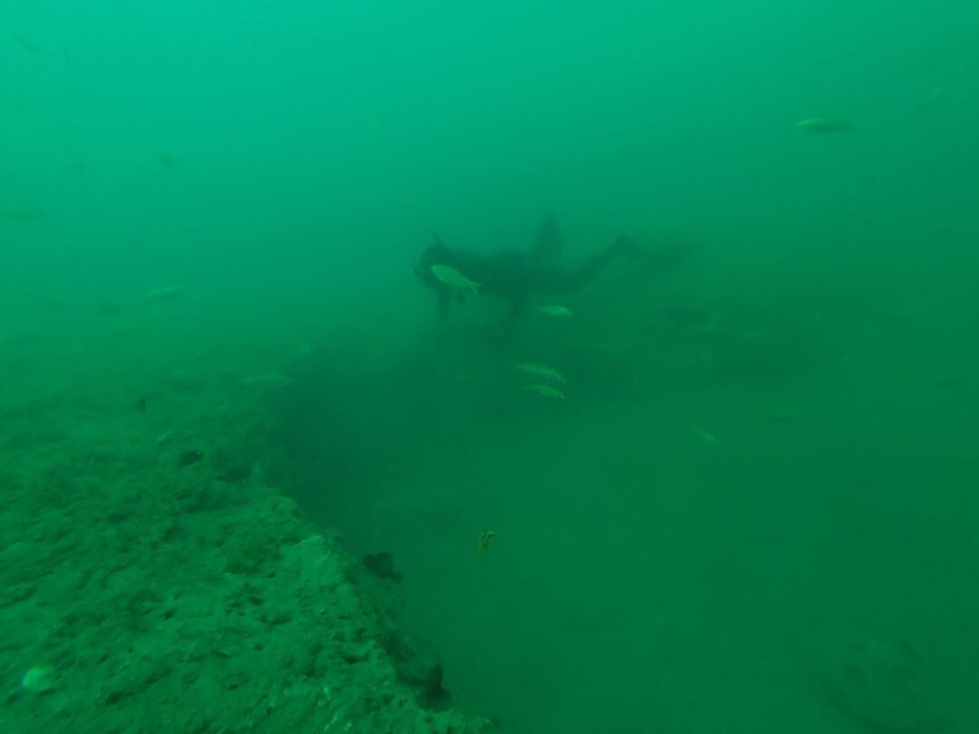 Getting your fish finder right to find untouched Wonky Holes