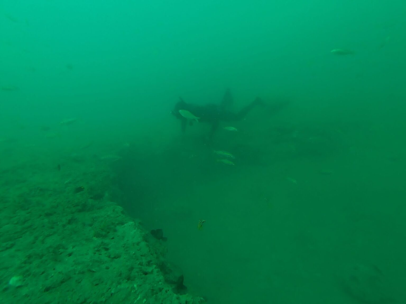 Getting your fish finder right to find untouched Wonky Holes