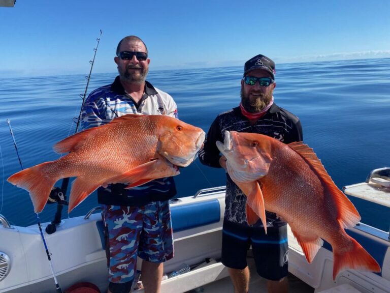 CHASING HUGE RED EMPEROR IN CENTRAL QUEENSLAND