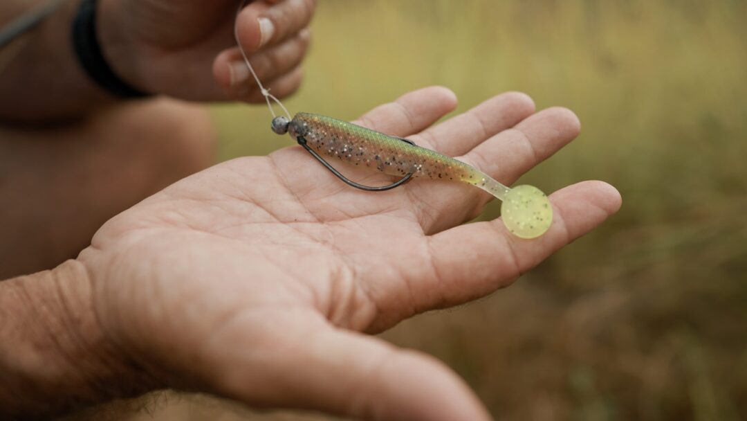 Saratoga Fishing for Beginners: Learn from a Fishing Expert’s ...