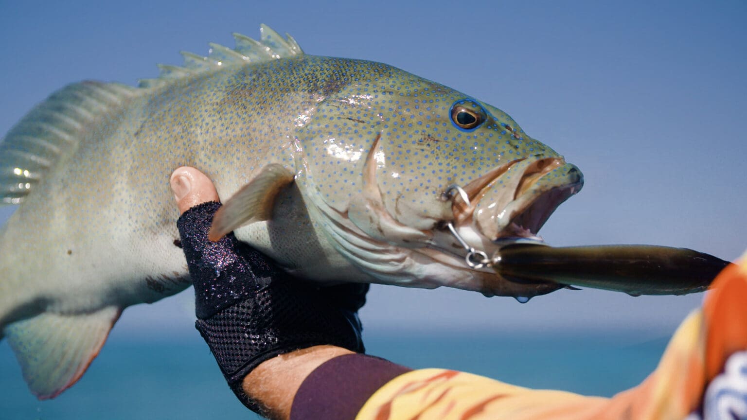 Stick Bait Lures Explained: The 3 Types & When to Use Each - Ryan Moody ...
