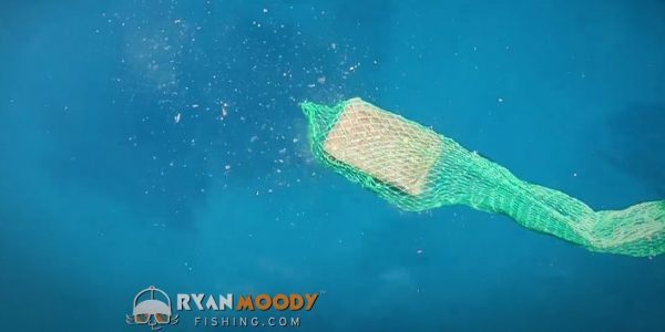 Burley Bombs - the clean way to consistently catch reef fish - Ryan ...