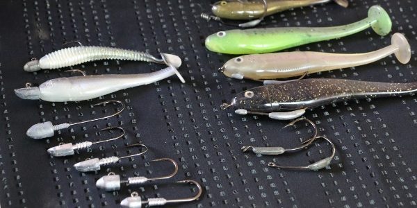 Tips For Fishing With Jig Heads & Soft Plastics | Ryan Moody
