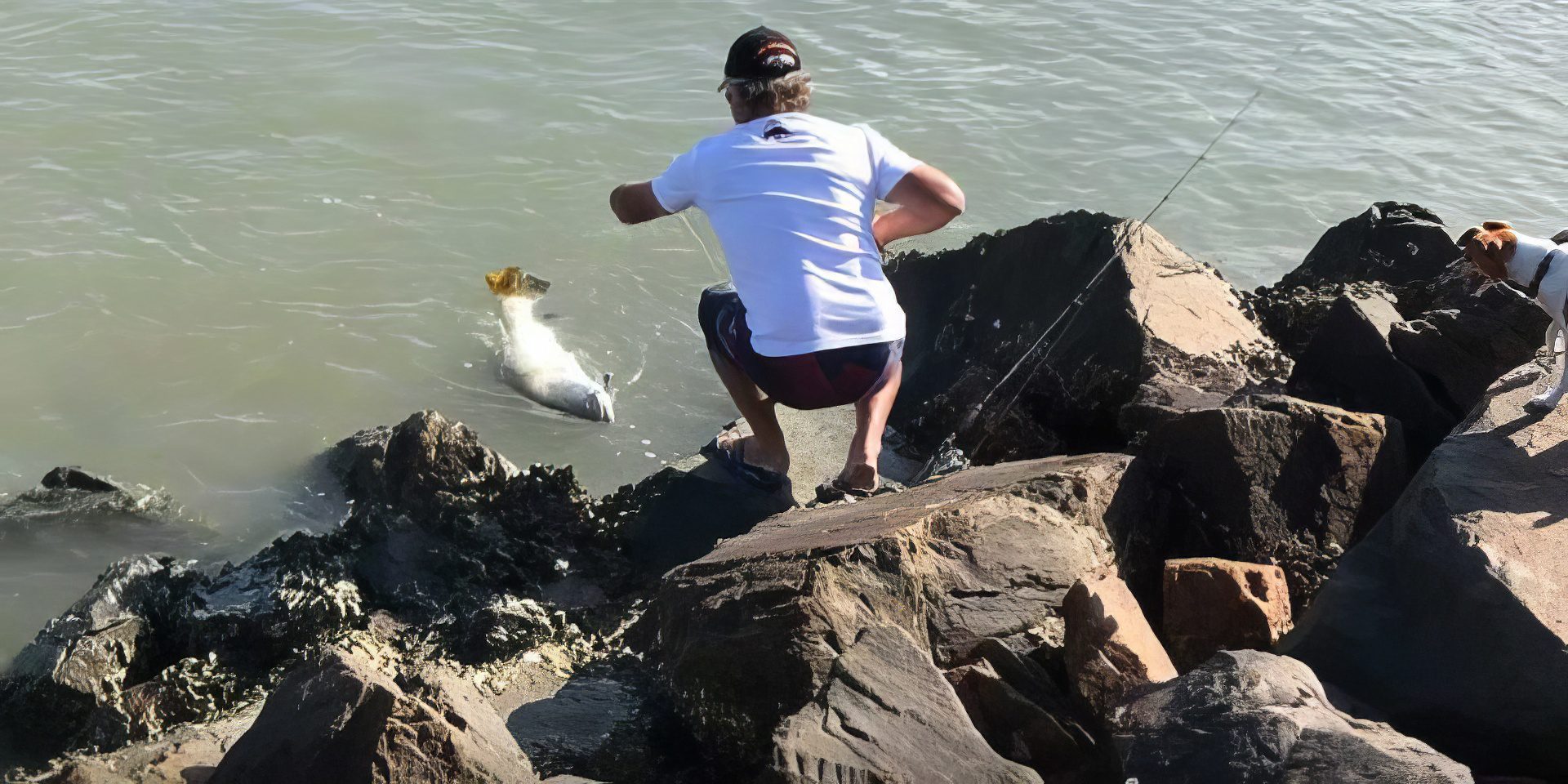 How To Tie A Paternoster Rig & Avoid Snags | Ryan Moody