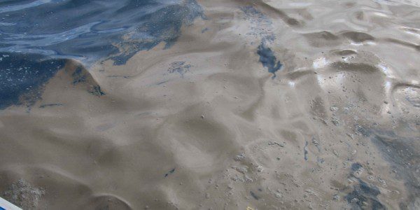 Trichodesmium blooms are often confused with coral spawn. - Ryan Moody ...